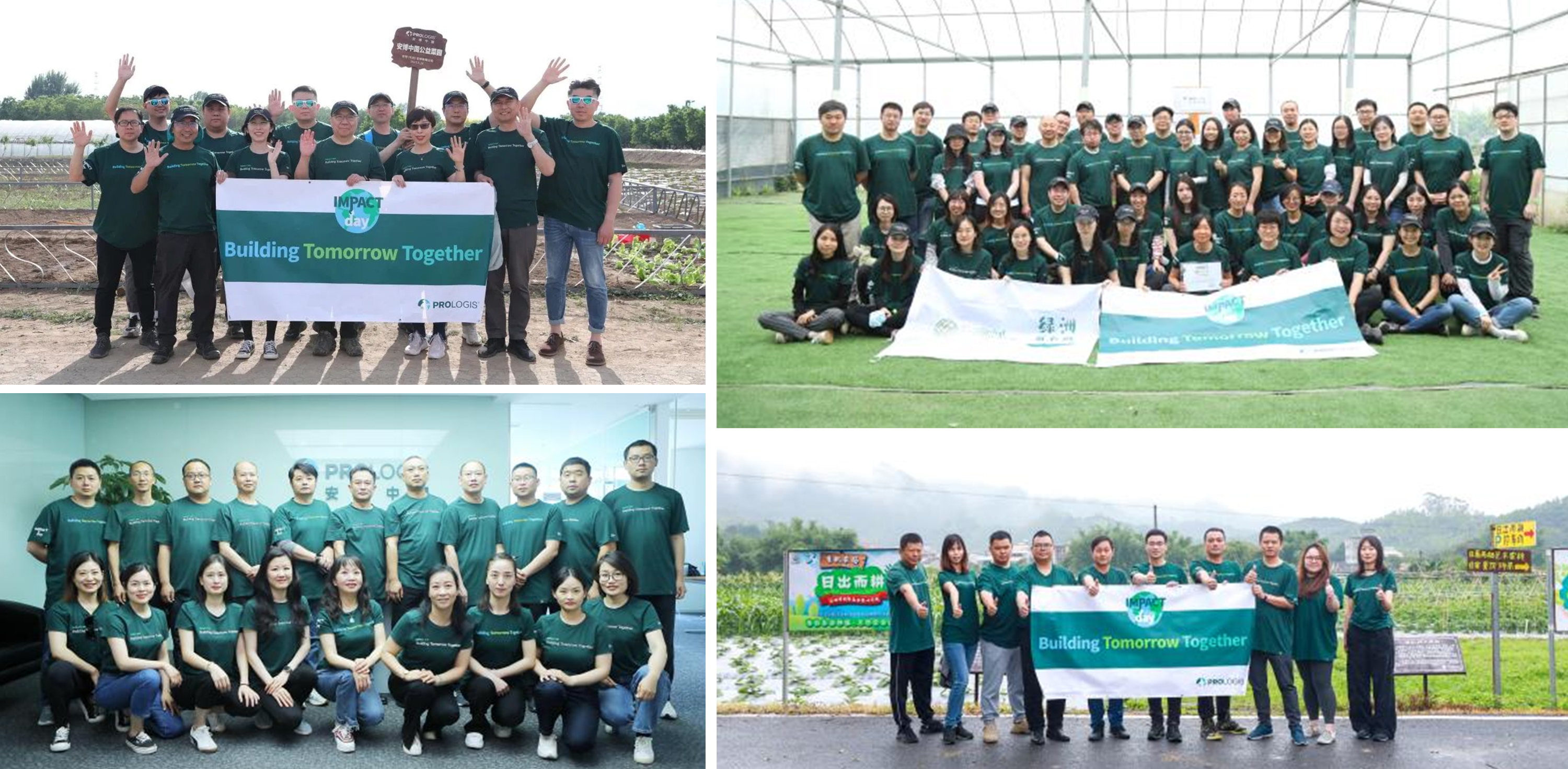 IMPACT Day | 安博中国志愿者心系社区，践行可持续生态理念 | 安博中国